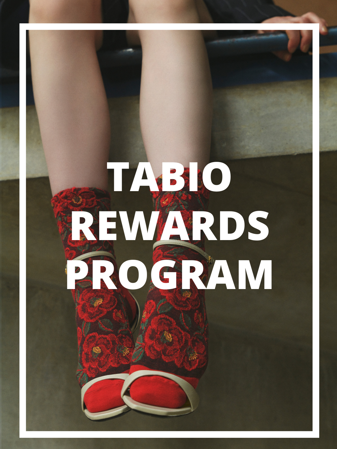 Announcing our NEW Rewards Scheme – Tabio UK